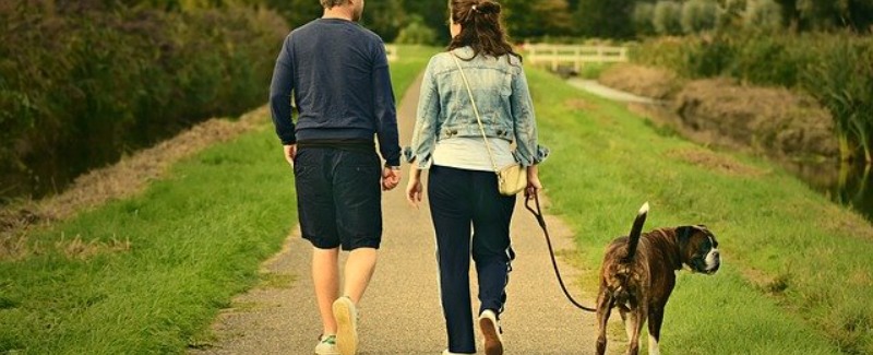 Heeling and Heel Position – The Dog Lady